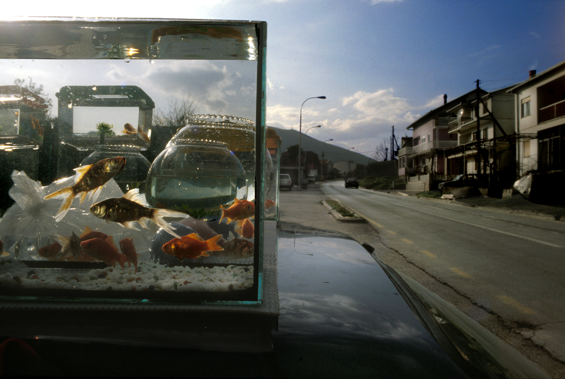 Ask Me Anything: Sara Terry and Jošt Franko discuss The Aftermath Grant ...