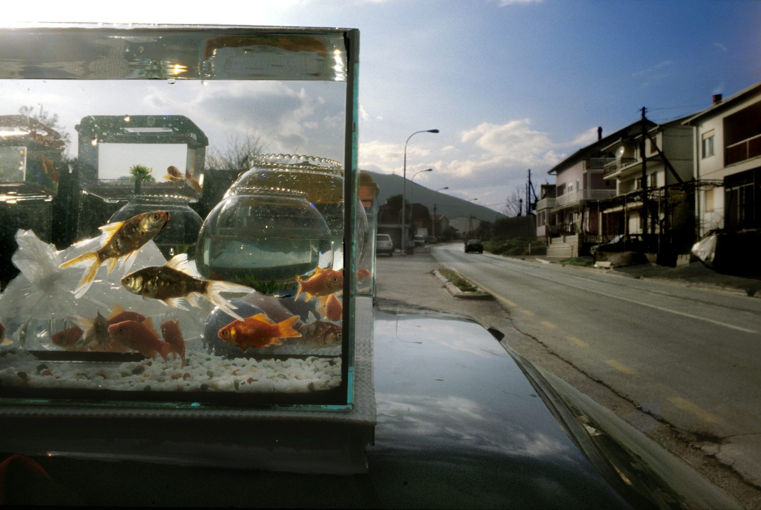 Sara Terry - The VII Foundation