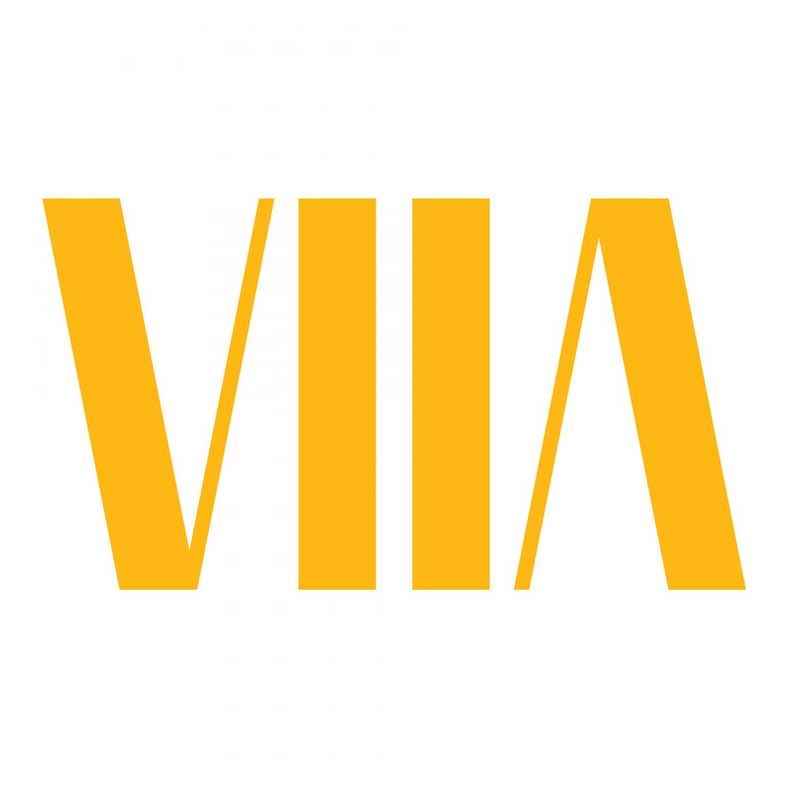 VII Academy - The VII Foundation