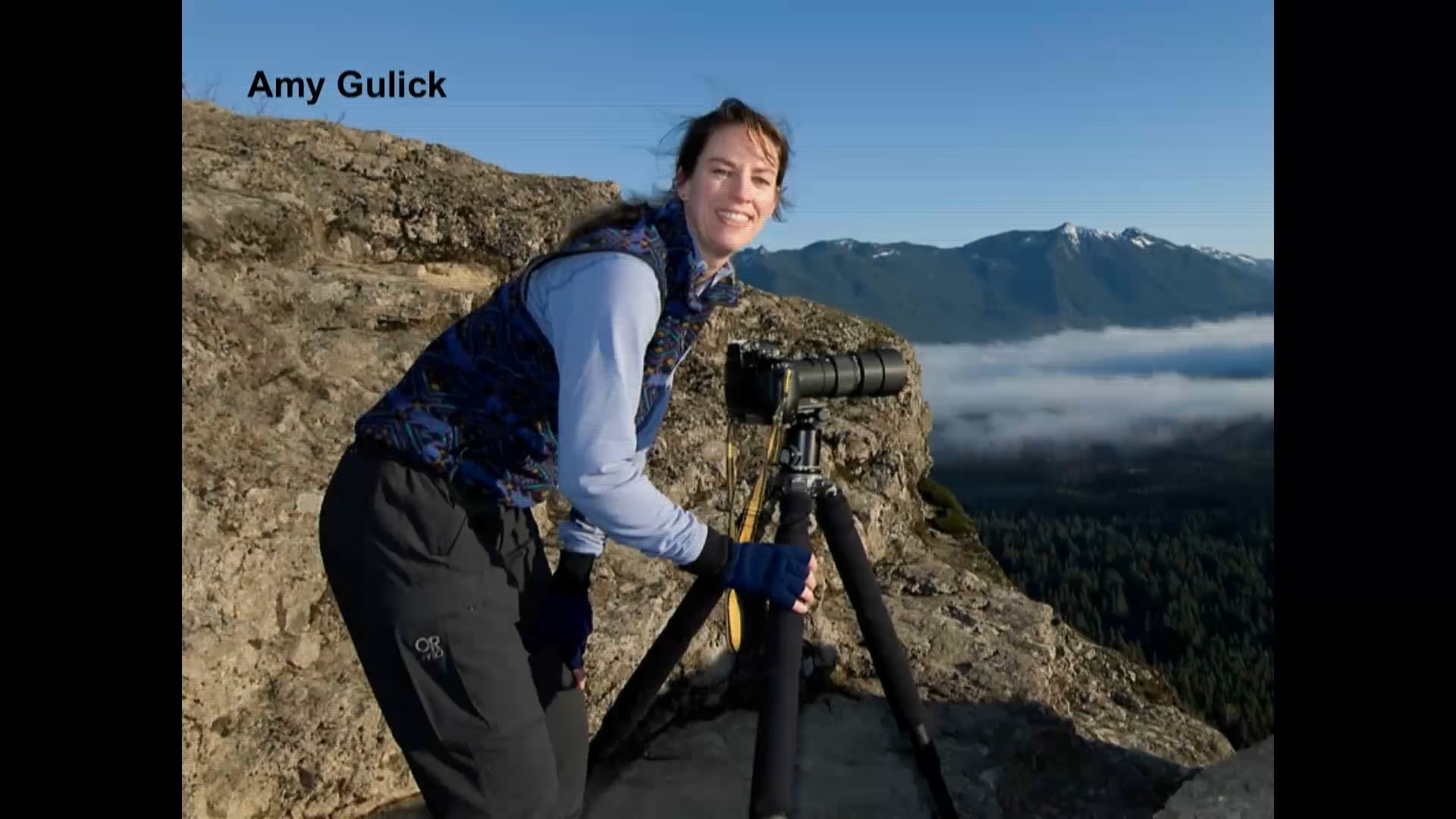 Helen Cherullo - We Are Not Alone | Collaborations for Cause 2017 - The ...