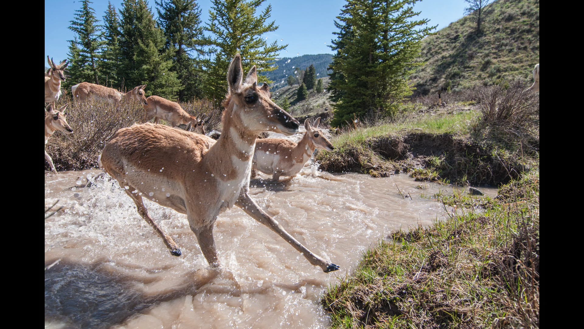 Joe Riis LOOK3 2016 Artist Talk - The VII Foundation